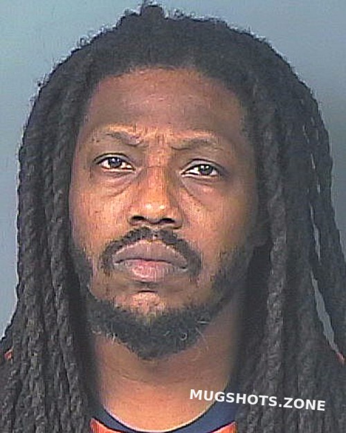 JEAN LOUIS ANTOINE WILBERT 08/02/2023 - Hernando County Mugshots Zone