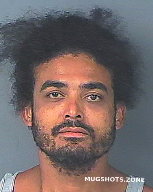 JONES STEVEN JASON 08/02/2023 - Hernando County Mugshots Zone