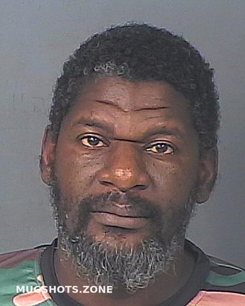 DAVIS BREON JAMAR 08/11/2023 - Hernando County Mugshots Zone