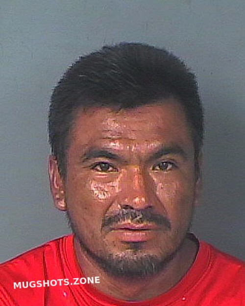 CAMINO MARIO CHAVARRIA 08/19/2023 - Hernando County Mugshots Zone