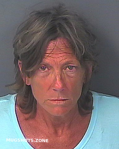 FETTY JULIA ELIZABETH 08/25/2023 - Hernando County Mugshots Zone