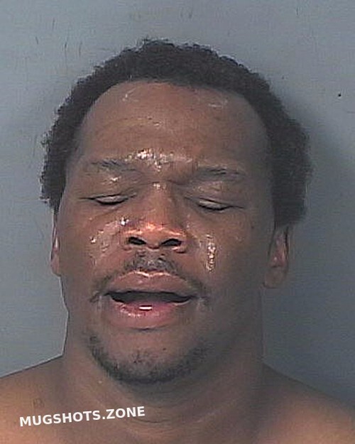 KING CHRISTOPHER TERRY 08/27/2023 - Hernando County Mugshots Zone