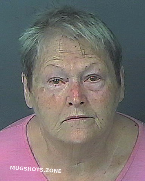 GROESBECK SHARON ROBINSON 09/02/2023 - Hernando County Mugshots Zone
