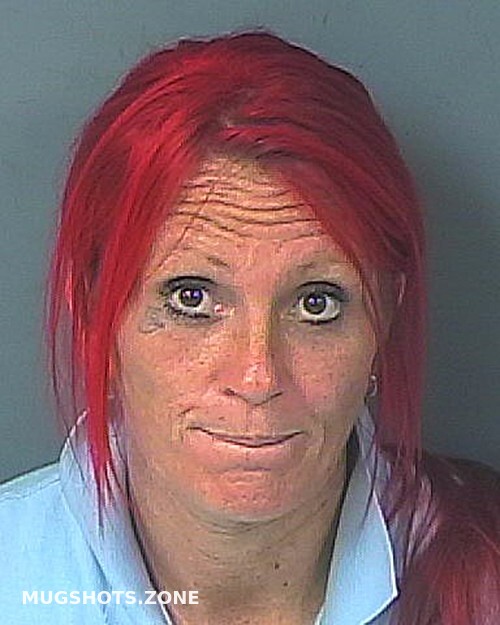 MILLER ASHLEY DAWN 09/06/2023 - Hernando County Mugshots Zone