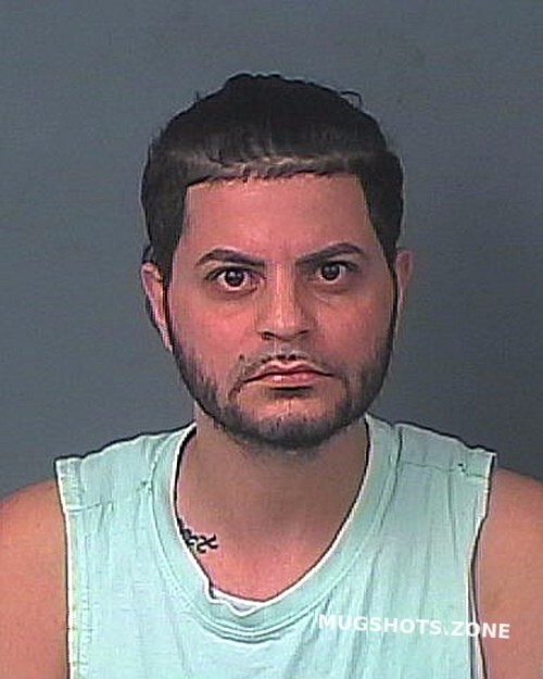 NEGRON ISAIAH ANGEL 09/08/2023 - Hernando County Mugshots Zone