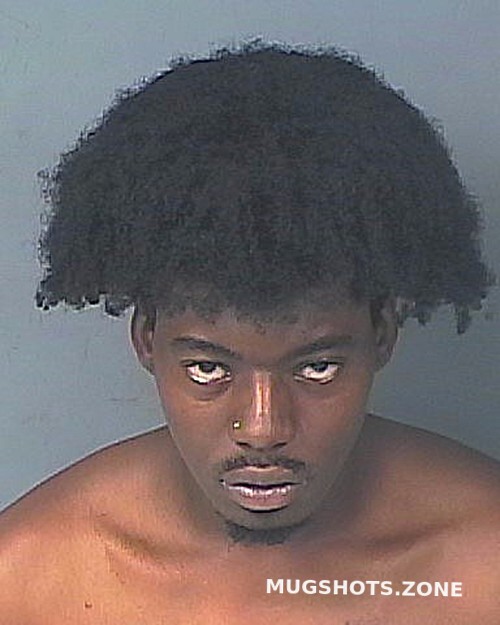 SMILEY JEROME JIMMIE LEE 09/17/2023 - Hernando County Mugshots Zone