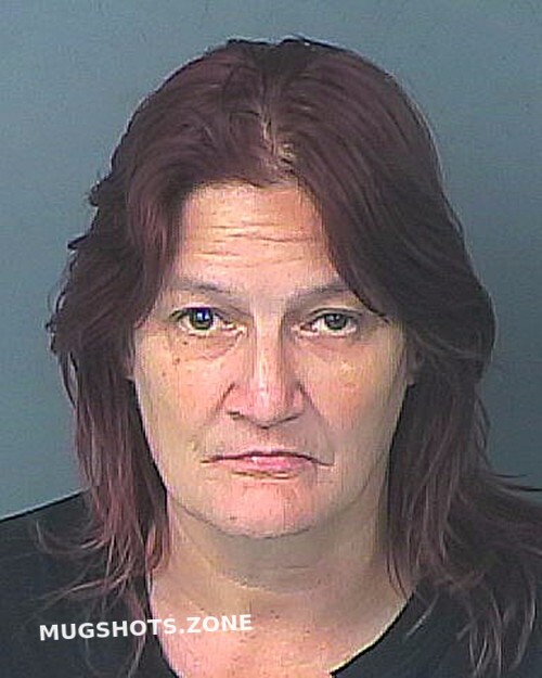 GOCHENOUR KAREN MARIE 09/19/2023 - Hernando County Mugshots Zone