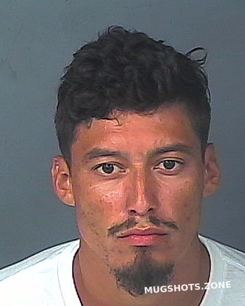 BADILLO GEORGE MAX 09/23/2023 - Hernando County Mugshots Zone