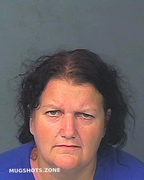 NEWMAN DIANE RENEE 10/03/2023 - Hernando County Mugshots Zone