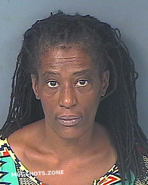JOHNSON NICOLE 10/10/2023 - Hernando County Mugshots Zone