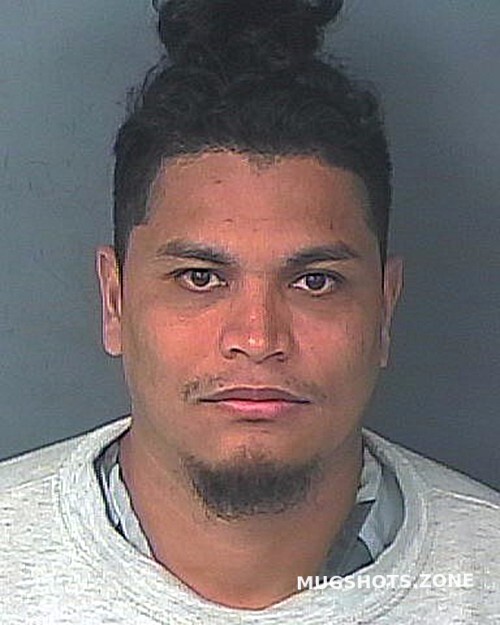 QUINTERO RENGIFO OSCAR ADRIANO 10/12/2023 - Hernando County Mugshots Zone