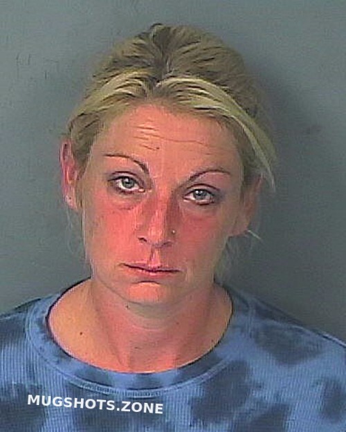 BARNETT TAMI DAWN 10/16/2023 - Hernando County Mugshots Zone