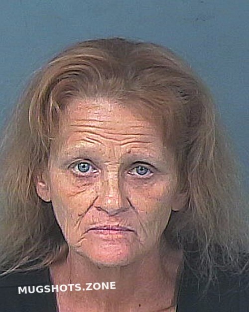 SCHULTZ JESSICA MARIE 10/19/2023 - Hernando County Mugshots Zone