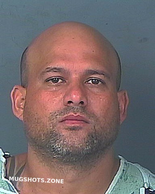 CASOLA RODRIGUEZ REINIER 10/20/2023 - Hernando County Mugshots Zone