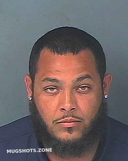 RADSICK DILLON MALONE 10/22/2023 - Hernando County Mugshots Zone