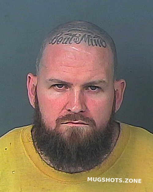 WIGGINS TONY L 10/30/2023 - Hernando County Mugshots Zone