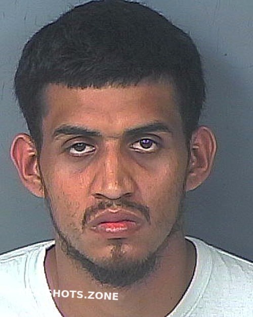 DELGADO JOSE 11/01/2023 - Hernando County Mugshots Zone DELGADO JOSE 11/01/2023 - Hernando County Mugshots Zone