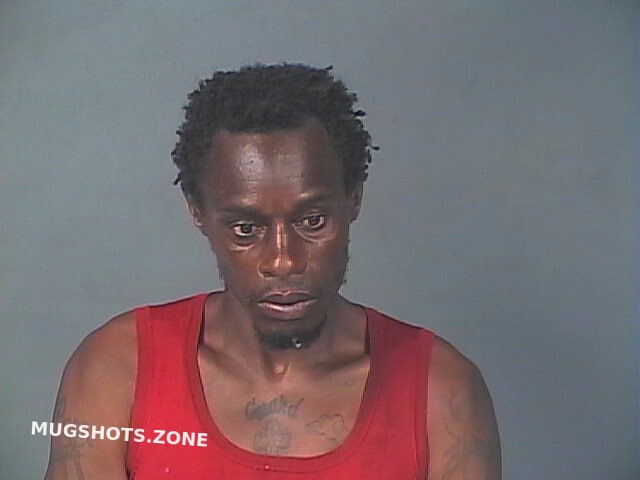 GAYNOR JOSHUA NICHOLAS 11/01/2023 - Hernando County Mugshots Zone