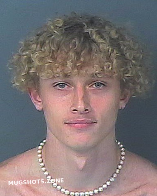 ZERWAS ANDREW JAMES 11/08/2023 - Hernando County Mugshots Zone