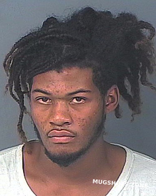 CHIN SETH AMOUR 11/15/2023 - Hernando County Mugshots Zone