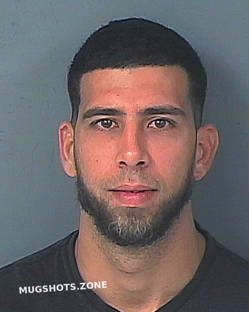 ALVAREZ TORRES LUIS 11/21/2023 - Hernando County Mugshots Zone
