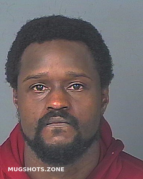 YANT ANTHONY RONALD 11/21/2023 - Hernando County Mugshots Zone
