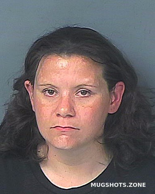 LEWIS LINDSEY RENEE 11/21/2023 - Hernando County Mugshots Zone