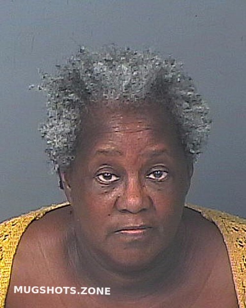 ACOSTA CYNTHIA DIANE 11/25/2023 - Hernando County Mugshots Zone