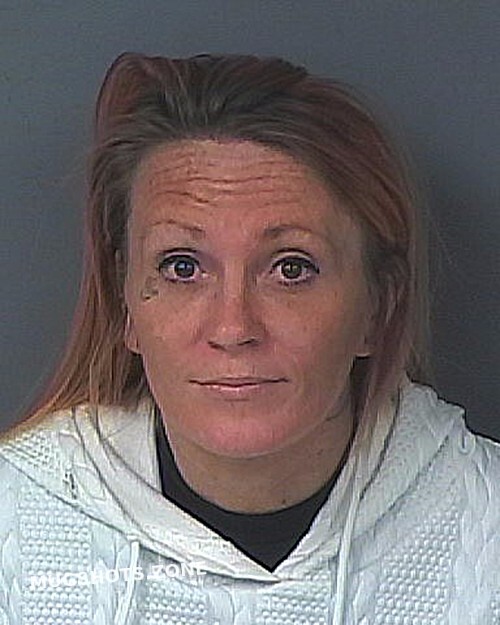 MILLER ASHLEY DAWN 11/29/2023 - Hernando County Mugshots Zone