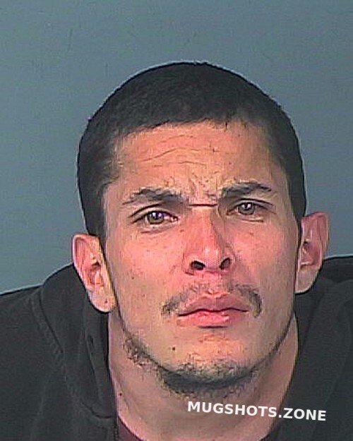 REYES PEDRO 12/21/2023 - Hernando County Mugshots Zone