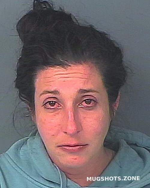 JACKLYN ROXANNE LEE 12/24/2023 - Hernando County Mugshots Zone