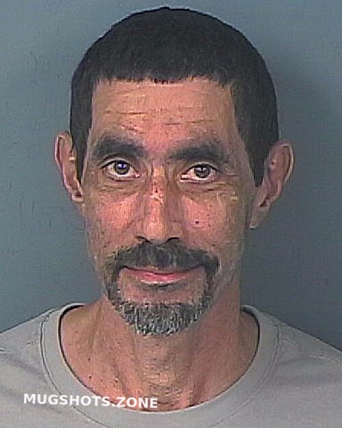 REYES ROBERT LUIS 01/03/2024 - Hernando County Mugshots Zone