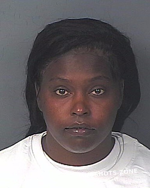 DAVIS TIARA LATRICE 01/04/2024 - Hernando County Mugshots Zone