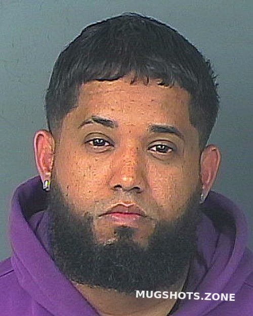 TORRES ENCARNACION RAFAEL 01/10/2024 - Hernando County Mugshots Zone