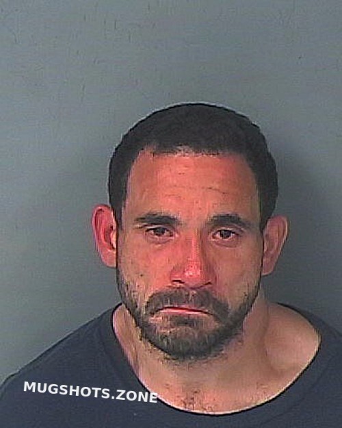 EMERICK DWAIN ANTHONY 01/11/2024 - Hernando County Mugshots Zone