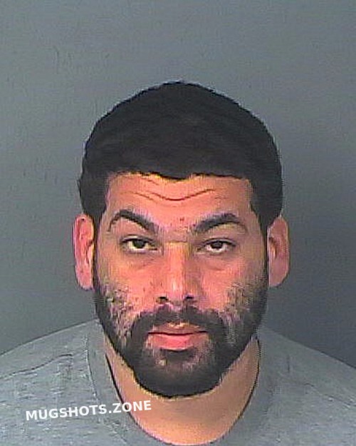 RUPERTO CARRILLO DANIEL LUIS 01/18/2024 - Hernando County Mugshots Zone