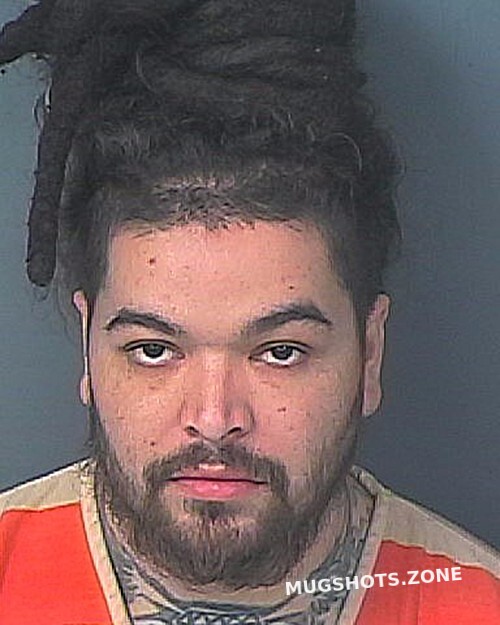RIOS MARK ANTHONY 01/19/2024 - Hernando County Mugshots Zone