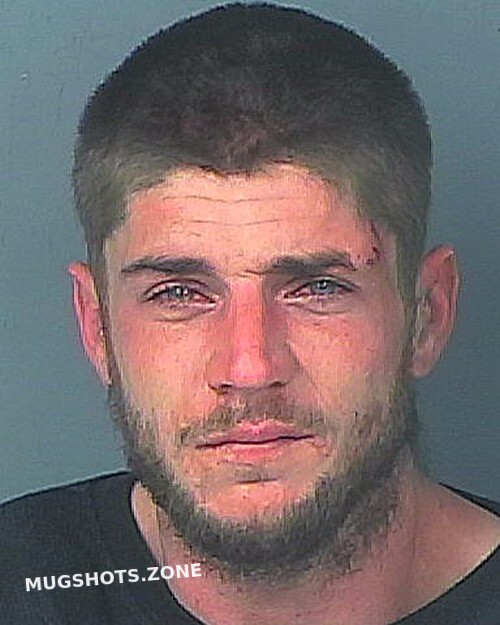 RYAN JAMES DILLON 01/22/2024 - Hernando County Mugshots Zone
