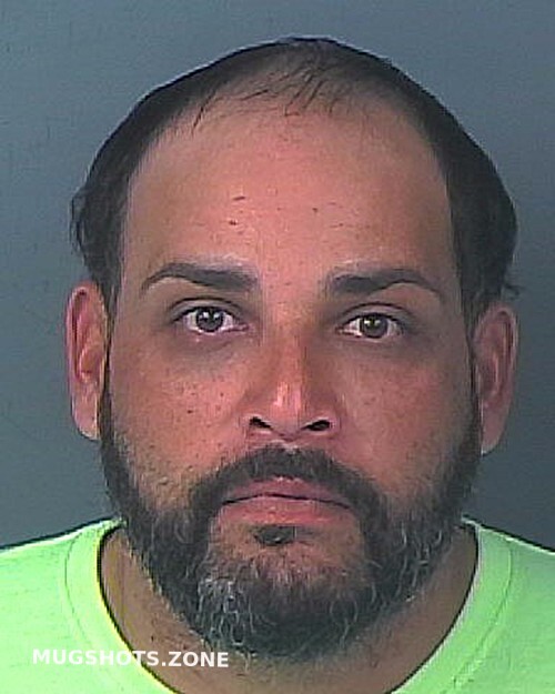 ANGELUCCI PEREZ AXEL RUBEN 01/22/2024 - Hernando County Mugshots Zone