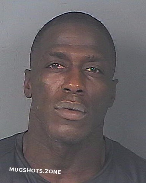 RICHARDSON OTIS TREYMANE 01/24/2024 - Hernando County Mugshots Zone