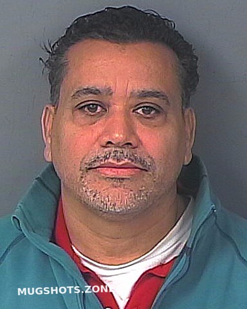 ALTA MIRANO WILSON ANTONIO 01/24/2024 - Hernando County Mugshots Zone
