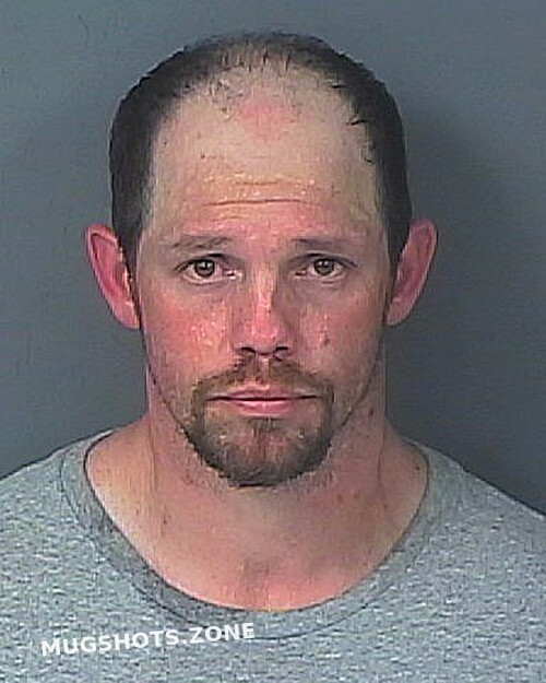 NADEAU JAMMIE LEE 01/24/2024 - Hernando County Mugshots Zone NADEAU JAMMIE LEE 01/24/2024 - Hernando County Mugshots Zone