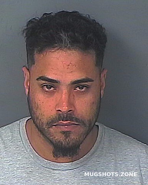 QUINTANA ALAMO CALEB JOEL 01/25/2024 - Hernando County Mugshots Zone