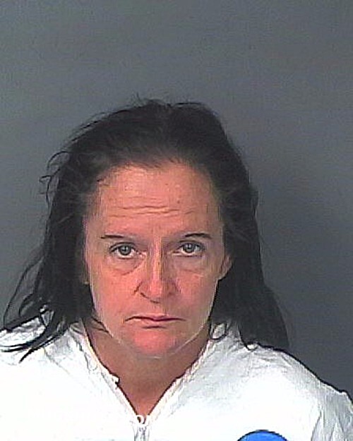 TURANICZO CHRISTINE LYNN 01/28/2024 - Hernando County Mugshots Zone