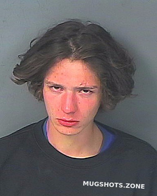 SELFORS DYLAN RICKY 02/03/2024 - Hernando County Mugshots Zone