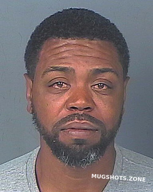 STEWART KENYON DEVINE 02/03/2024 - Hernando County Mugshots Zone