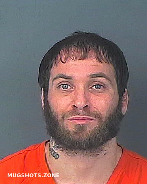 RAYE JOSHUA DAVID 02/06/2024 - Hernando County Mugshots Zone