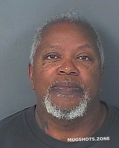 DORSEY KENNETH ALLEN 02/09/2024 - Hernando County Mugshots Zone