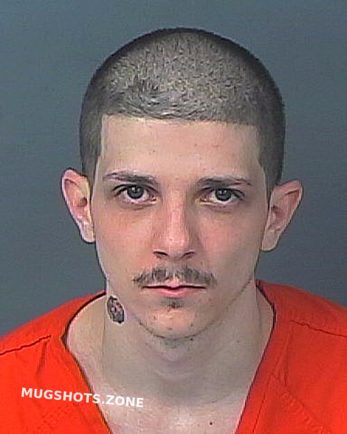 DOOLEY NICKOLAS RAY 02/09/2024 - Hernando County Mugshots Zone
