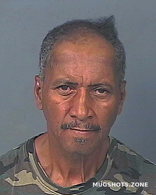JOHNSON VANCE DUSTIN 02/10/2024 - Hernando County Mugshots Zone